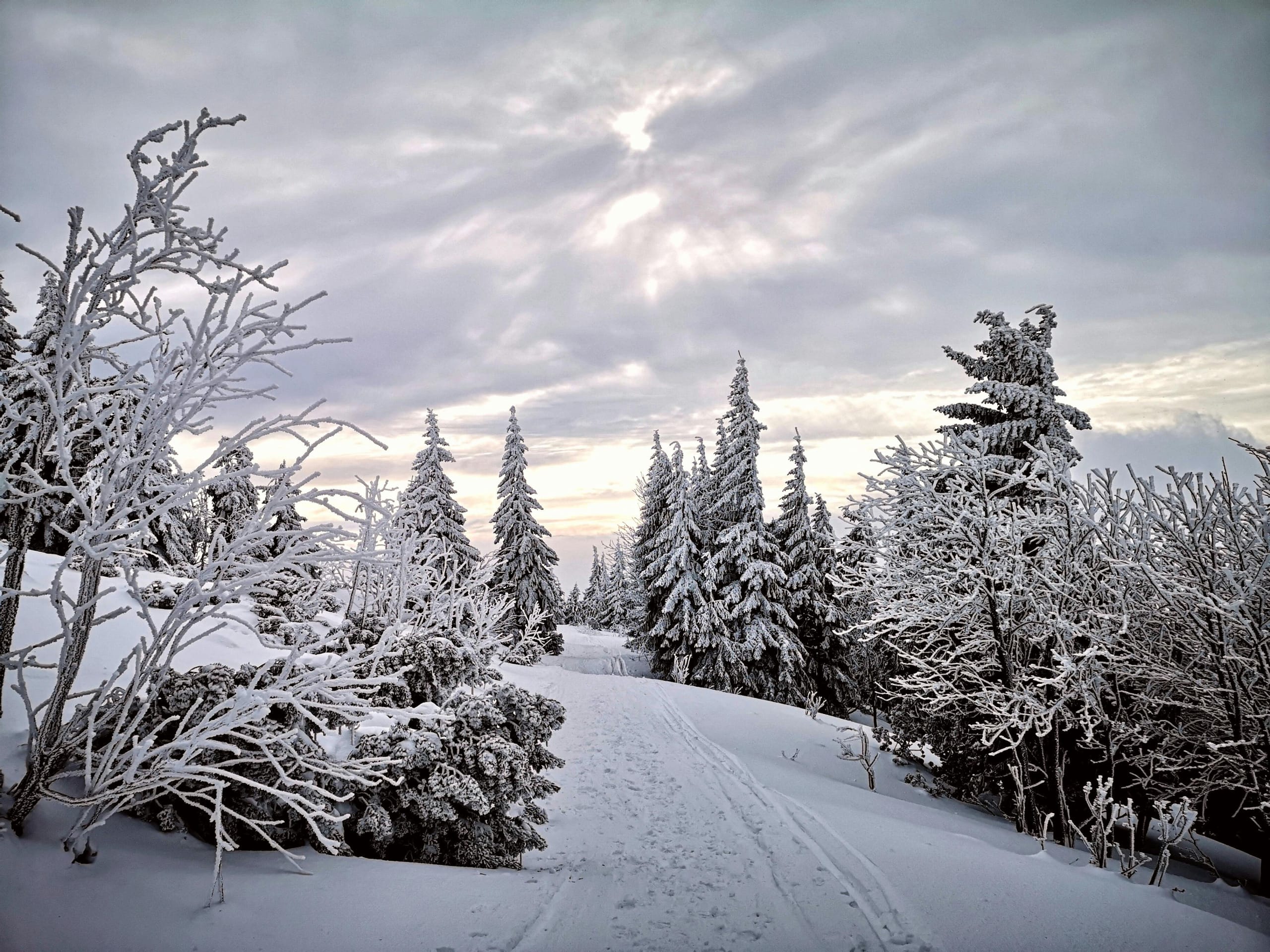 GCSE further listening: Vivaldi - 'Winter' - London Philharmonic Orchestra